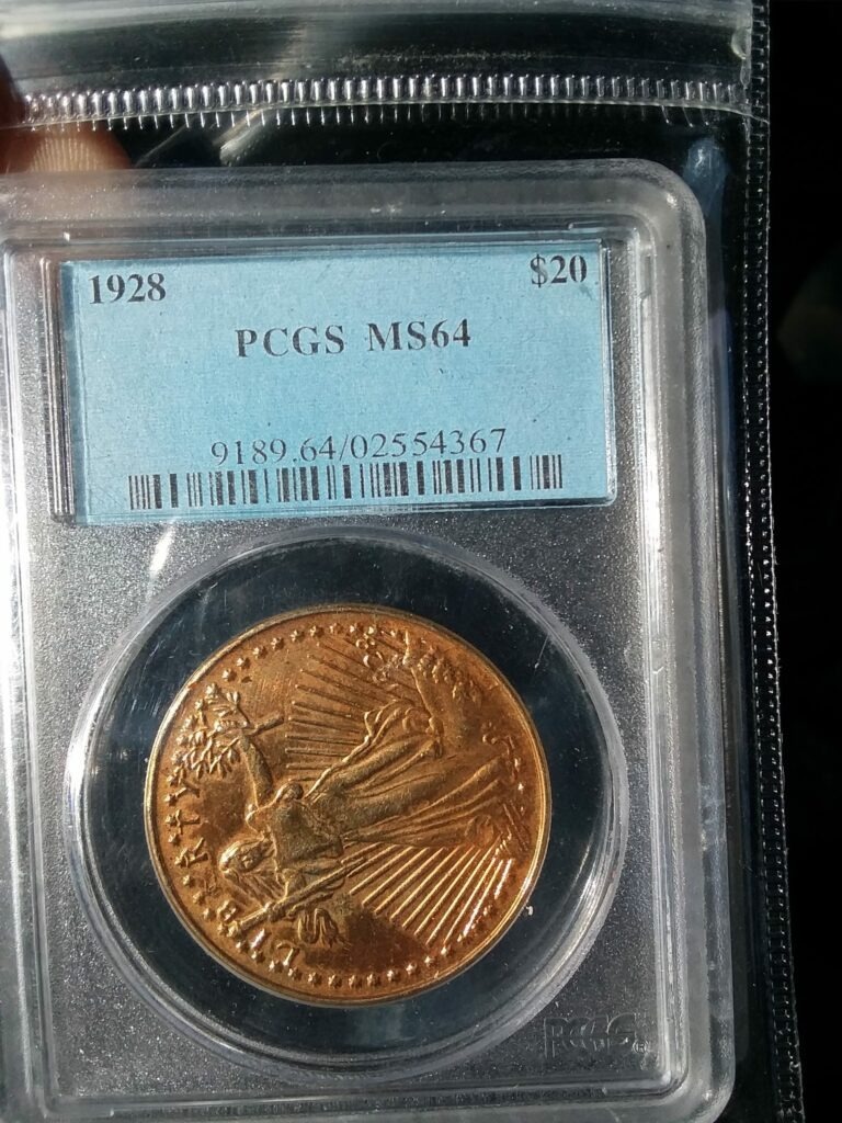 Fake $20 Gold Coin Case Study